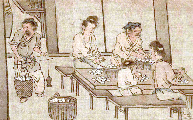 History of Silk: The Evolution of a Luxurious...