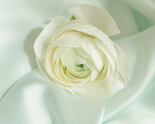 Our Story – SusanSilk